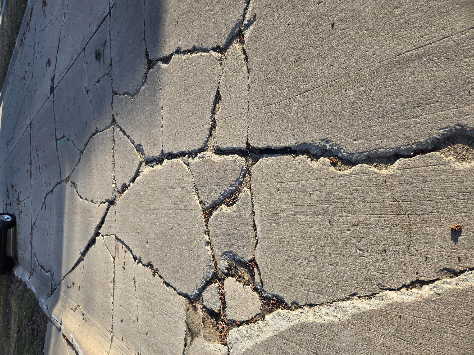 Surrey Dr NE from Boyson Rd NE to Cambridge Dr NE